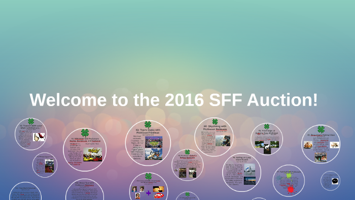 2016 SFF Auction by Rebecca Seguin