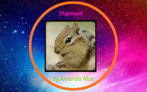 Chipmunk by amanda moe on Prezi