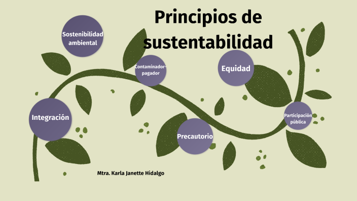 Principios de sustentabilidad by Karla Hidalgo on Prezi