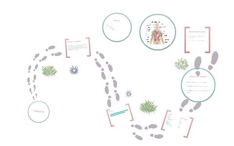 Organdonation by Thomas Duus on Prezi