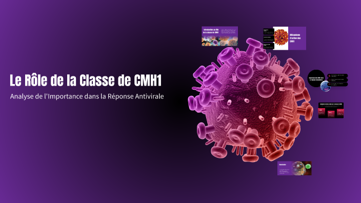 Le Rôle de la Classe de CMH1 by Hedille Zouaimia on Prezi