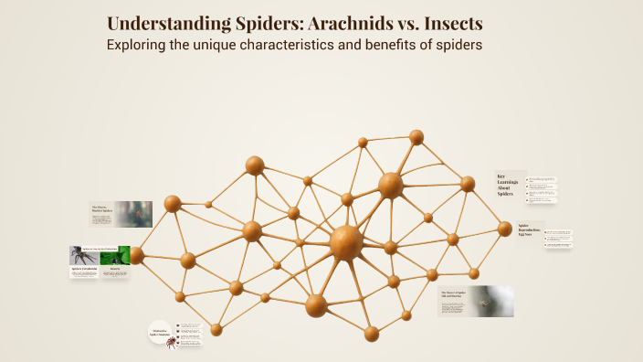 Understanding Spiders: Arachnids vs. Insects by Shaima Raza on Prezi