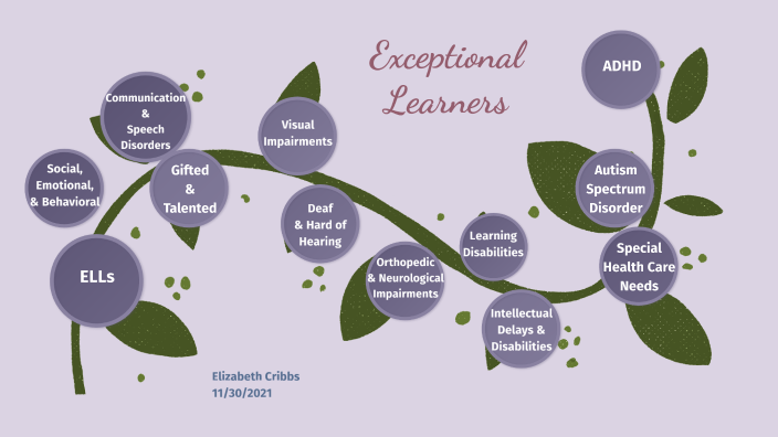 Exceptional Learners by Elizabeth Cribbs on Prezi