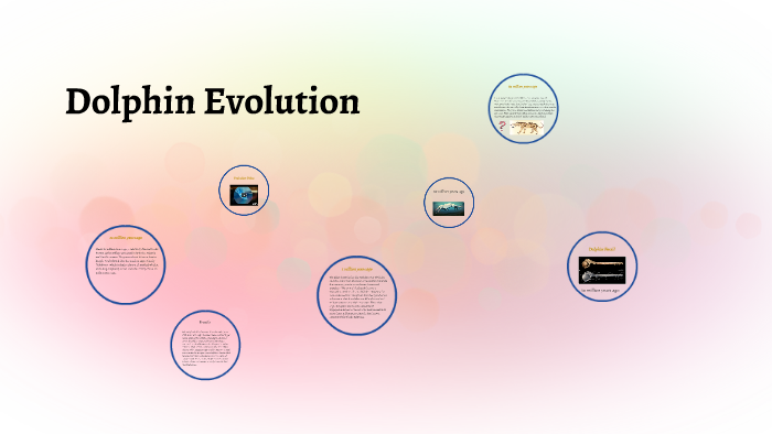 Dolphin Evolution by Maliyah Bartley on Prezi