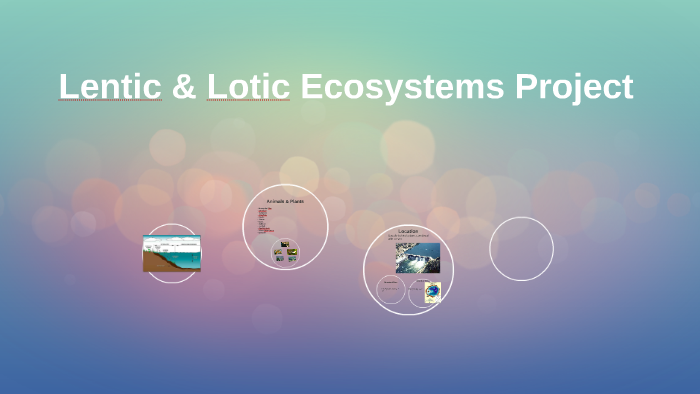 Lentic & Lotic Ecosystems Project by Brandie Morones on Prezi