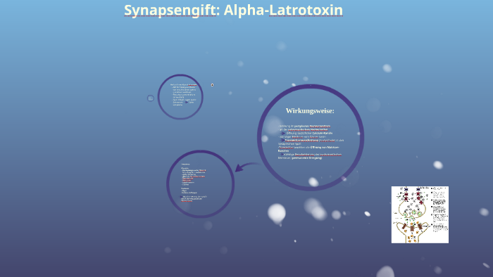 Alpha-Latrotoxin: by Fynn Durynek on Prezi