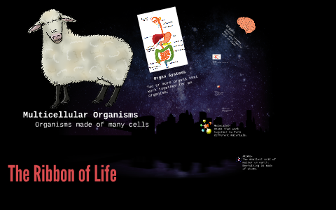 The Ribbon of Life by Sean Griffin on Prezi