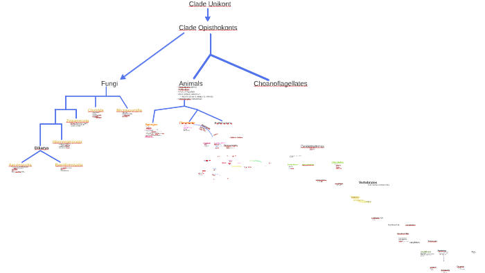 Clade Unikont by Taylor Sivils on Prezi