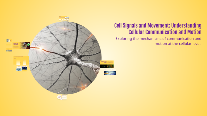 Cell Signals and Movement: Understanding Cellular Communication and ...