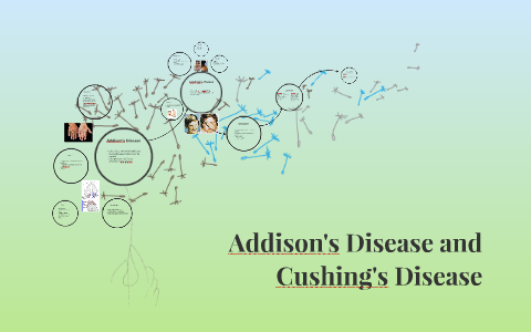 Addison's Disease and Cushing's Disease by on Prezi