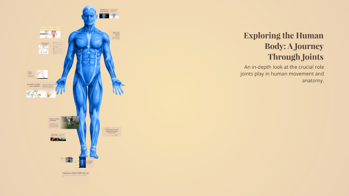 Exploring the Human Body: A Journey Through Joints by waleed althobaity ...