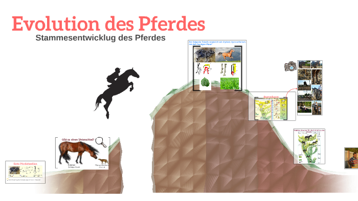 Evolution des Pferdes by Farida el garawany on Prezi