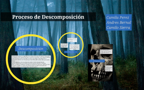 Proceso de Descomposición by Camilo Sierra on Prezi