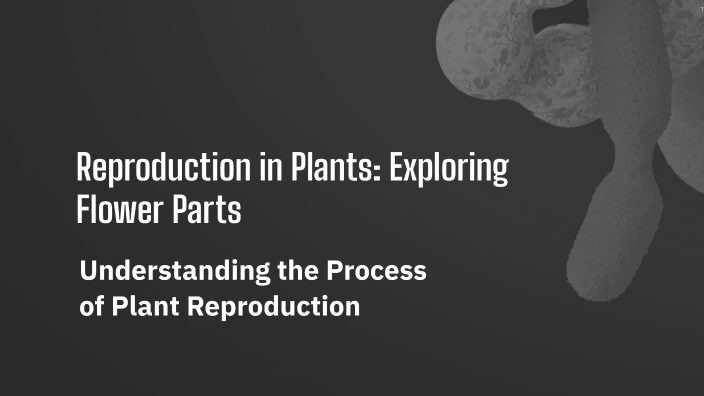 Reproduction in Plants: Exploring Flower Parts by Rob Peters on Prezi