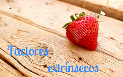 Factores extrínsecos by Eduardo Almeida on Prezi