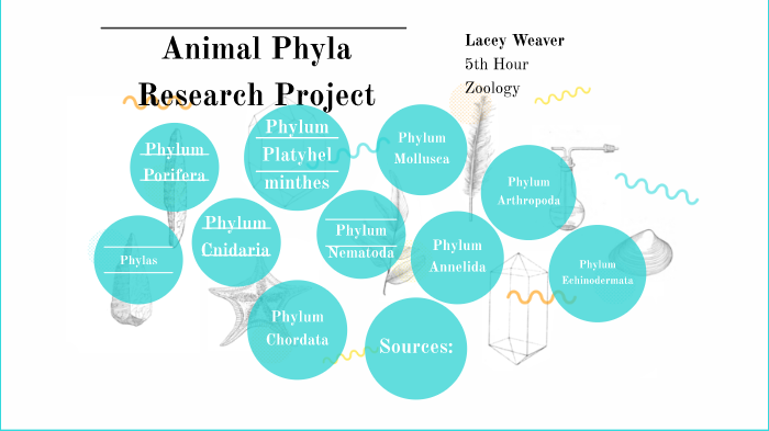 Zoology Phylum Project by Lacey Weaver on Prezi