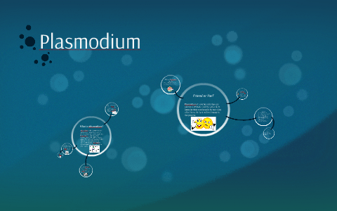 Plasmodium by Hannah Catlin on Prezi