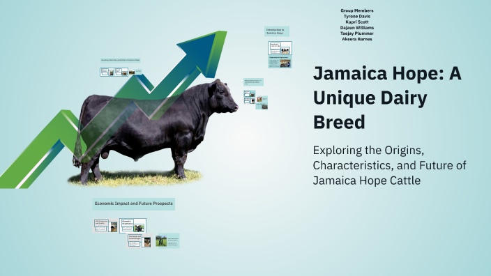 Jamaica Hope: A Unique Dairy Breed by Tyrone Davis on Prezi