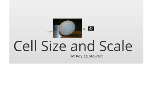 Cell Size and Scale by Jocelyn Stewart on Prezi