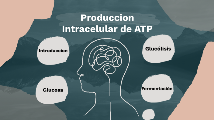 Producción Intracelular de ATP by Stephanie Gonzalez on Prezi