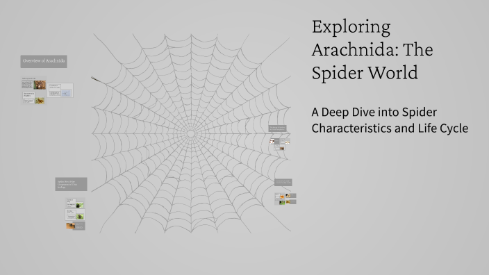Exploring Arachnida: The Spider World by Heidy Moncivais on Prezi