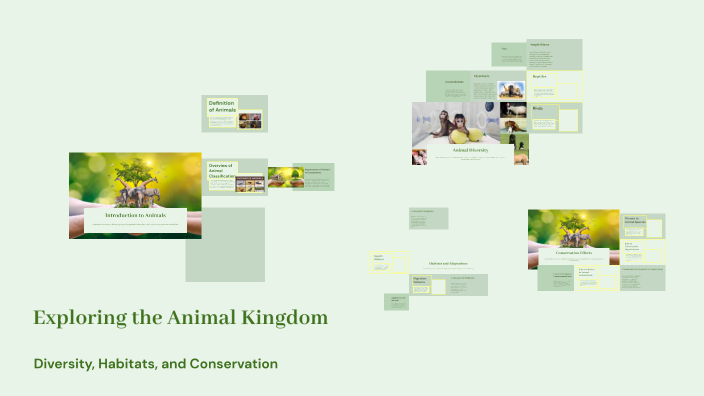 Exploring the Animal Kingdom by on Prezi