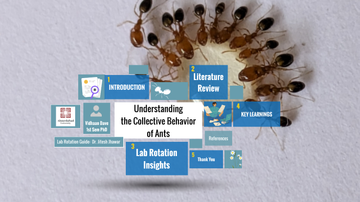 Lab Rotation by Vidhaan Dave on Prezi