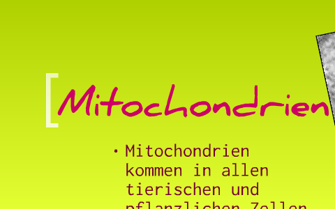 Biologie by ivana marks on Prezi