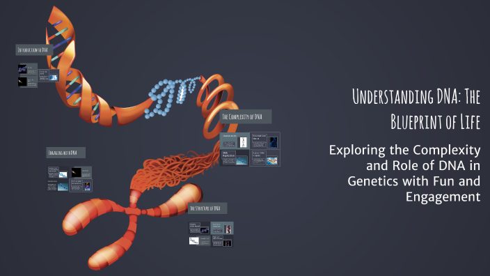 Understanding DNA: The Blueprint of Life by Shirley Muiso on Prezi