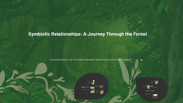 Exploring Symbiotic Relationships in Forest Ecosystems by MAKENNA ...