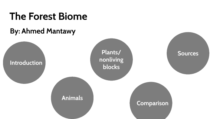 The Forest Biome by Ahmed Mantawy on Prezi