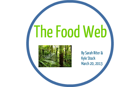 Food Chain by Sheri Riter on Prezi