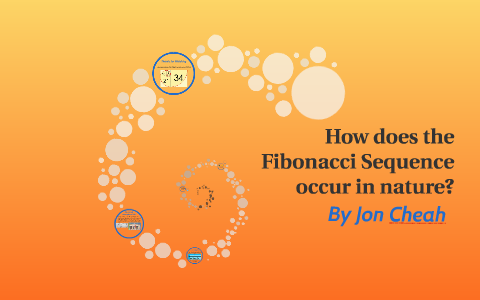 How does the Fibonacci Sequence occur in nature? by Jon Cheah