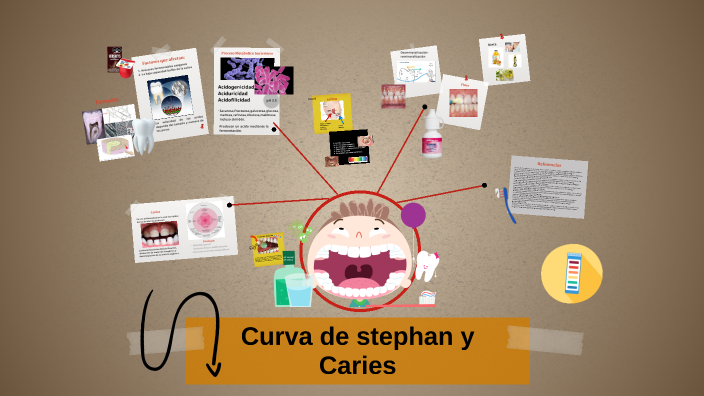 Curva de stephan- caries by ma. de lourdes gonzalez juarez on Prezi
