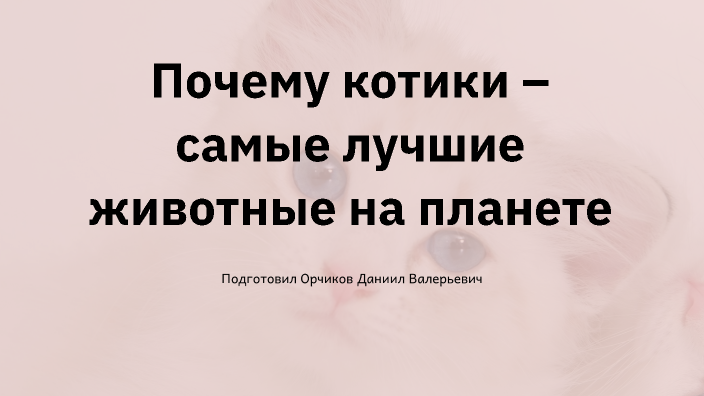 Почему котики самые лучшие животные на планете By Даниил Орчиков On Prezi