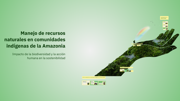 Manejo de recursos naturales en comunidades indígenas de la Amazonia by ...