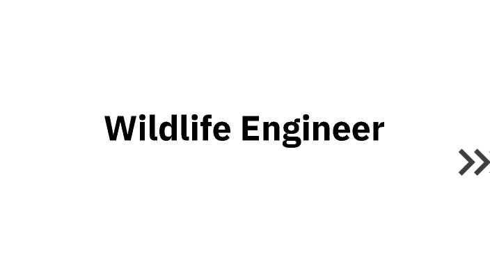 Wildlife Engineer by Evvian Monson on Prezi
