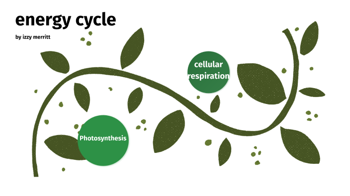 energy cycle by Izzy Merritt on Prezi
