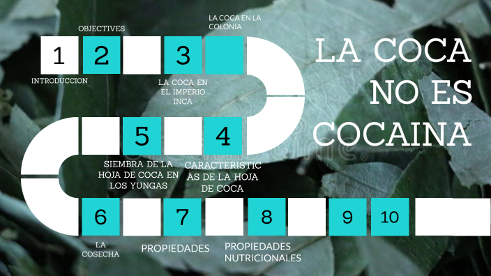 LA COCA NO ES COCAINA by Pat Marome on Prezi