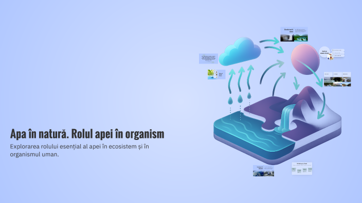 Apa în natură. Rolul apei în organism by Cuibus Ana-Maria on Prezi