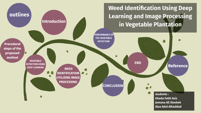 Weed identification Using Deep Learning and image Processing in ...