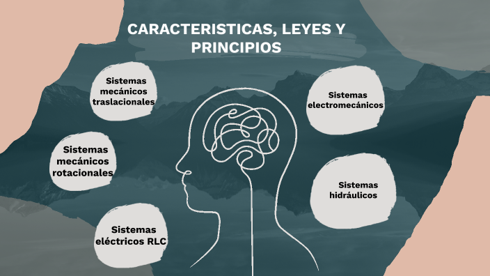 PRINCIPIOS FISICOS, LEYES FISICAS Y DINAMICAS DE UN SISTEMA (MODELO ...