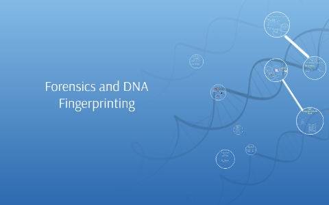 Forensics and DNA Fingerprinting by Megan Kelly on Prezi