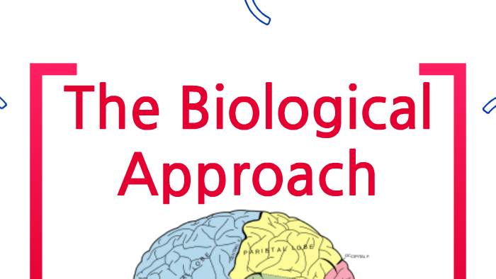 AS Biological Approach by Sarah C on Prezi