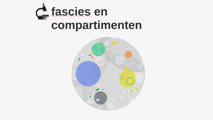 fascies en compartimenten by Ellen de Bock on Prezi