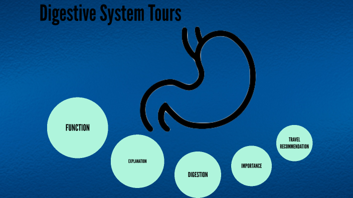 Digestive System Tour by Peyton Katz on Prezi