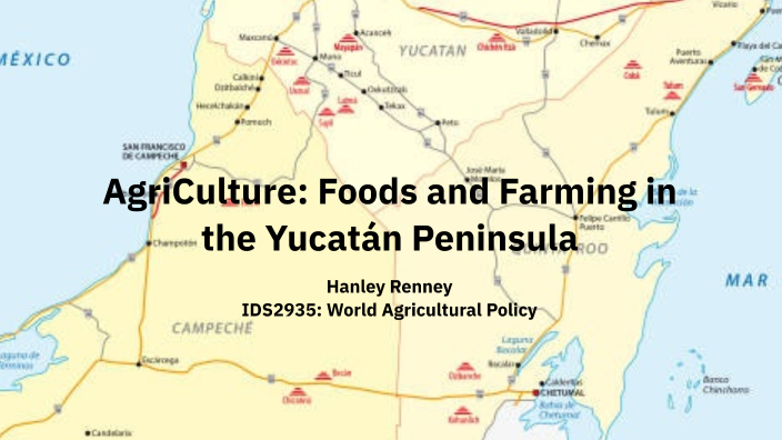 AgriCulture: Foods and Farming in the Yucatán Peninsla by Hanley Renney ...