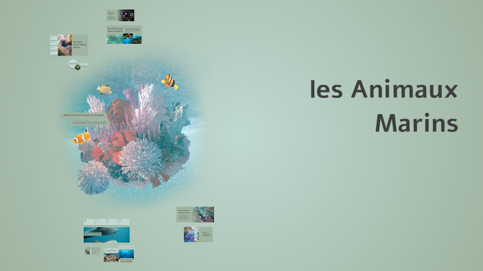 Présentation sur les Animaux Marins Invertébrés et Vertébrés by nadia ...