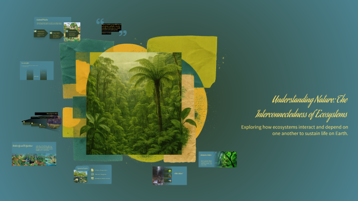 Understanding Nature: The Interconnectedness of Ecosystems by Ujala ...