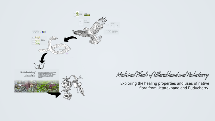 Medicinal Plants of Uttarakhand and Puducherry by Anshika Rawat on Prezi